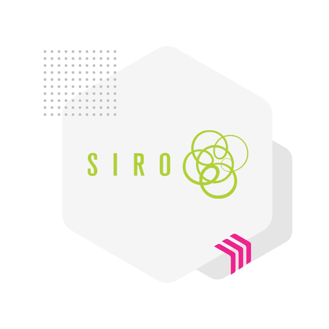 Advanced connectivity solutions and extensive network infrastructure ...