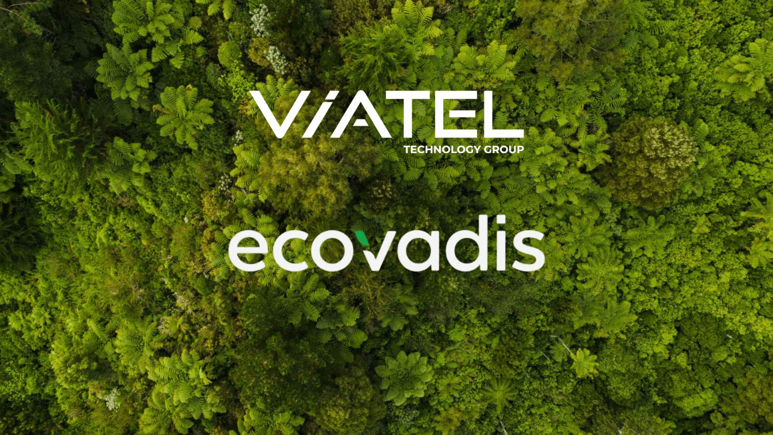 Viatel Technology Group’s Commitment to Sustainability Recognised with ...